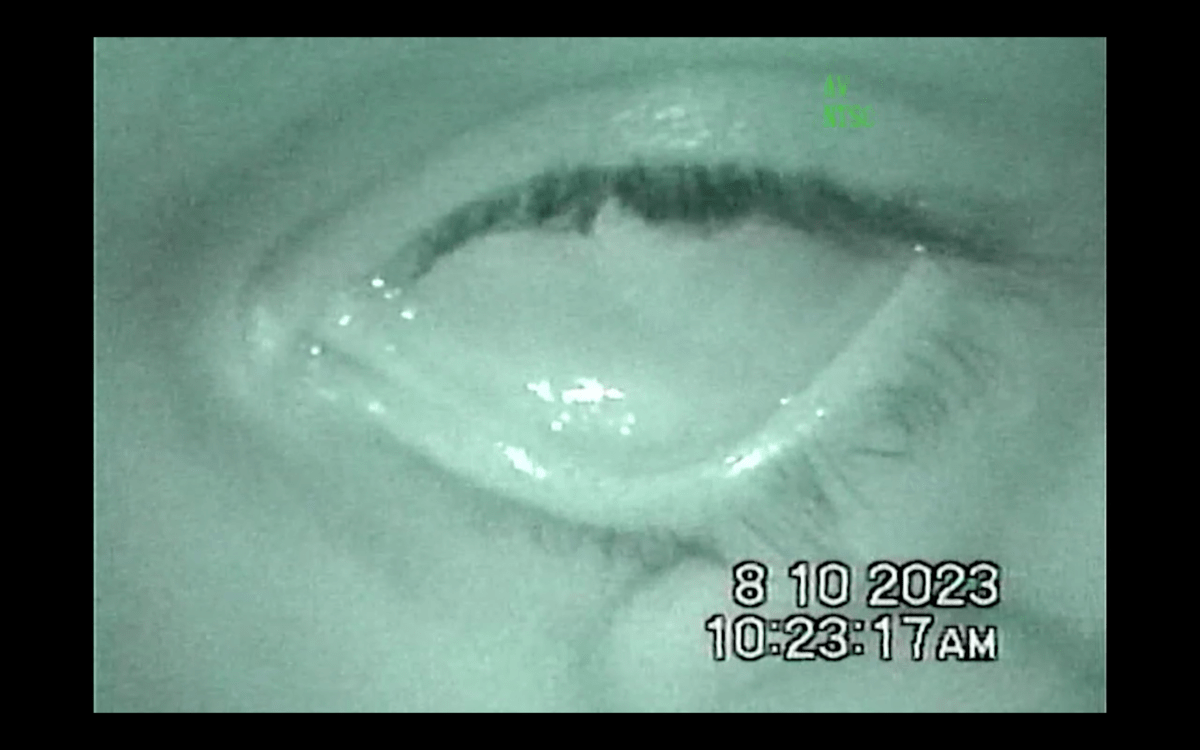 Collabs – Brian Jacobs